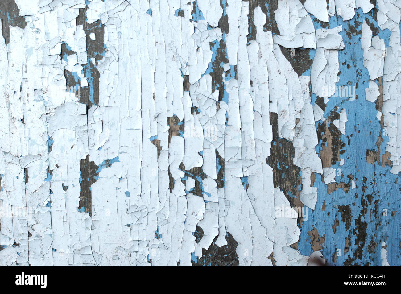 Old wooden painted light blue rustic background with peeling paint ...