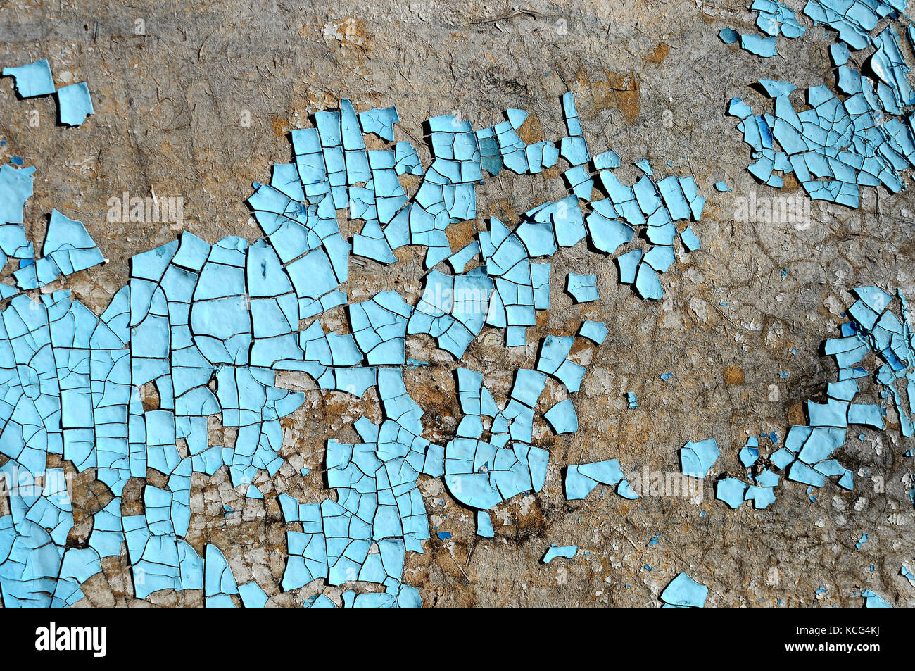 Rustic hardboard texture with scratches, cracks and blue peeling paint ...
