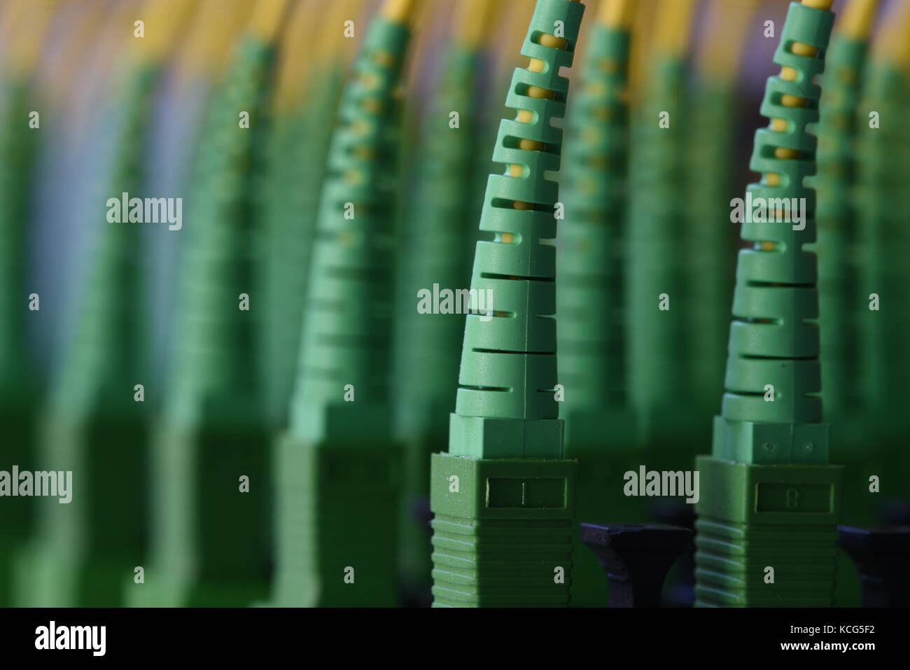 Independent Distribution Frame