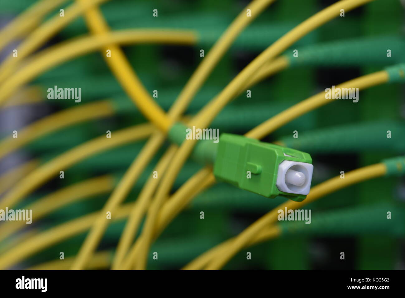 Optical fiber connector close up and distribution frame panel Stock ...