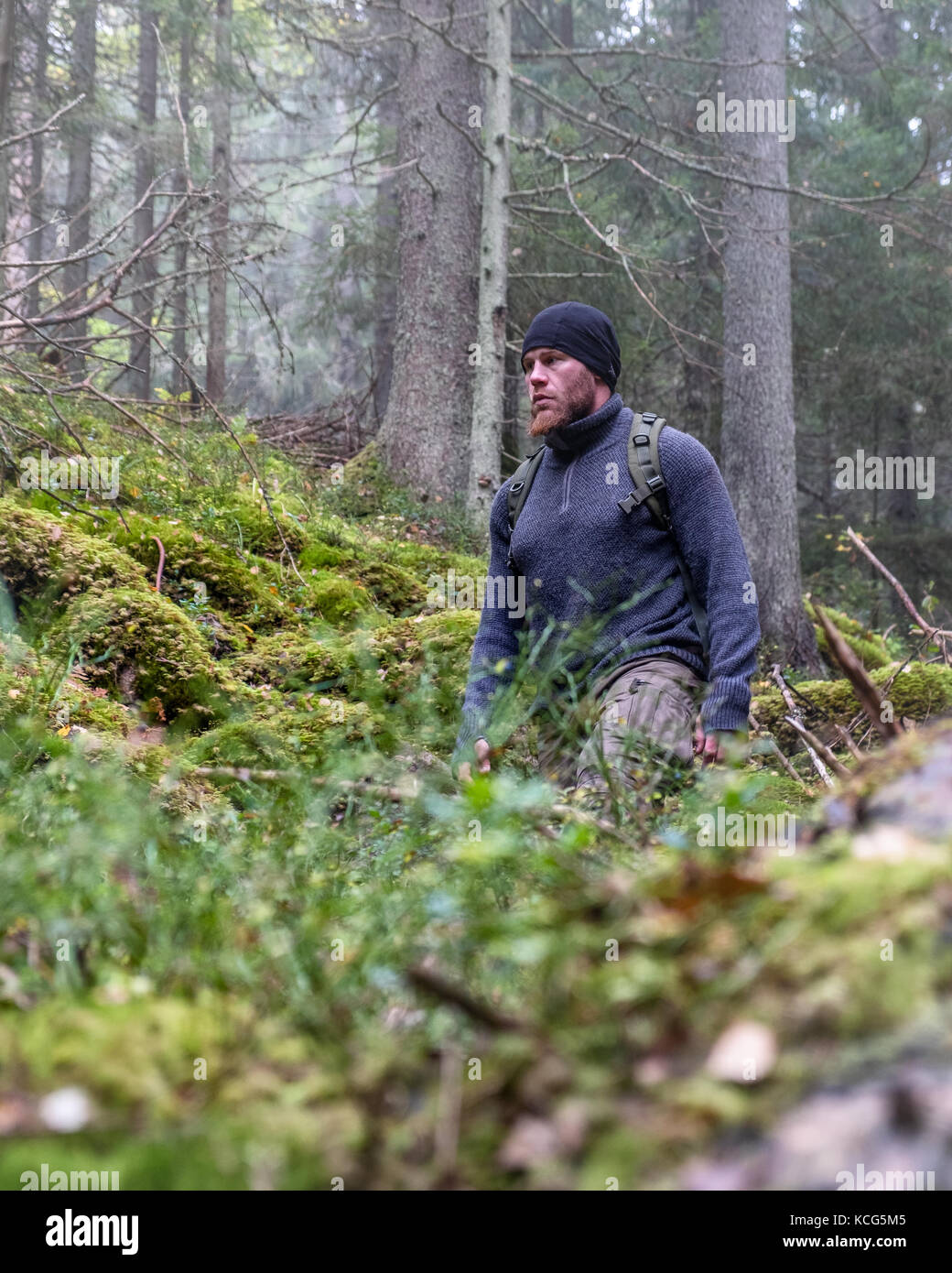 Man foggy forest hi-res stock photography and images - Alamy