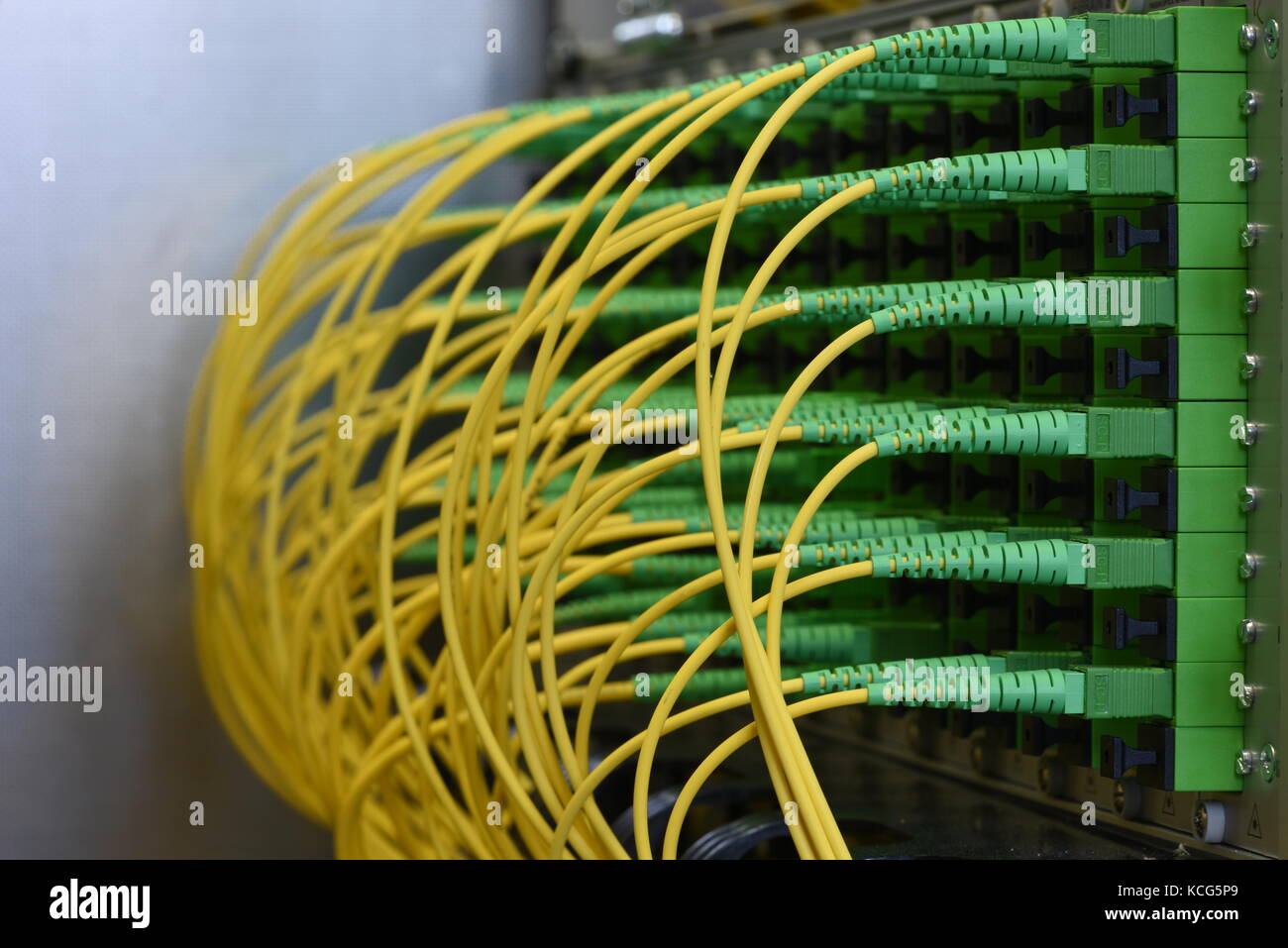 Fiber optical distribution panel switch with cables in server room ...