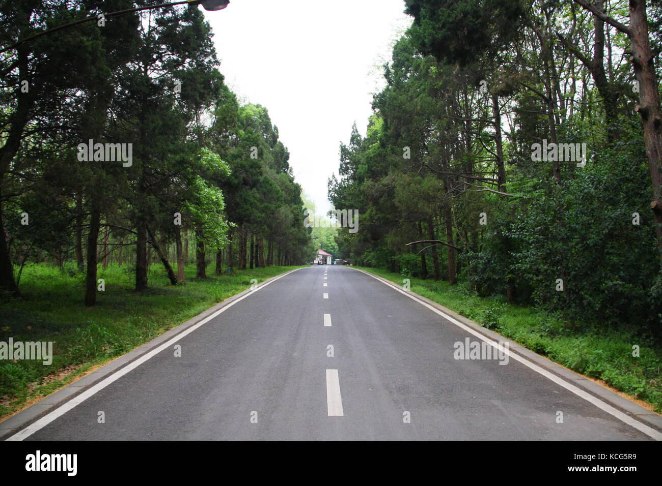 Nanjing forest hi-res stock photography and images - Alamy