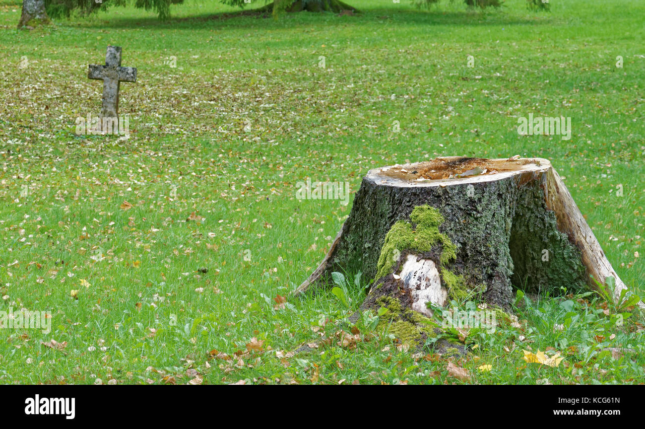 An old stump and Christian cross on a graveyard Stock Photo - Alamy