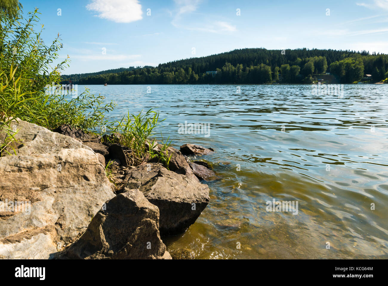 Nice lake shore with plants, trees and rocks in water. Sunny summer day ...