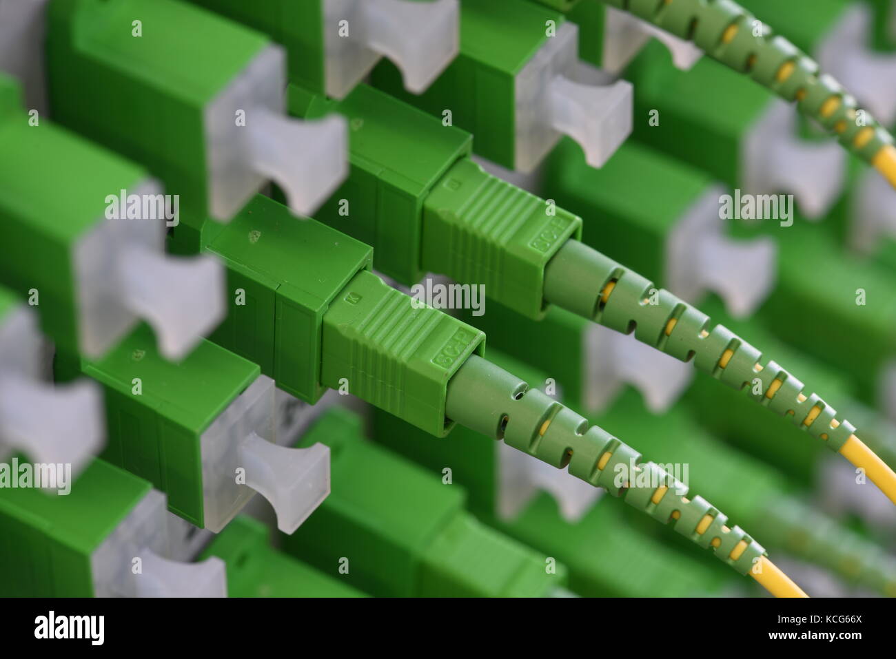 Optical distribution panels with fiber cables at passive optical ...