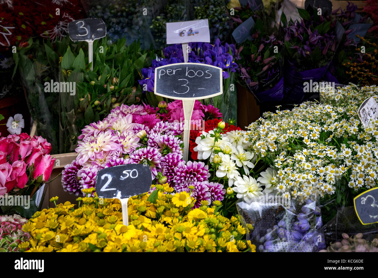 Utrecht market hi-res stock photography and images - Alamy