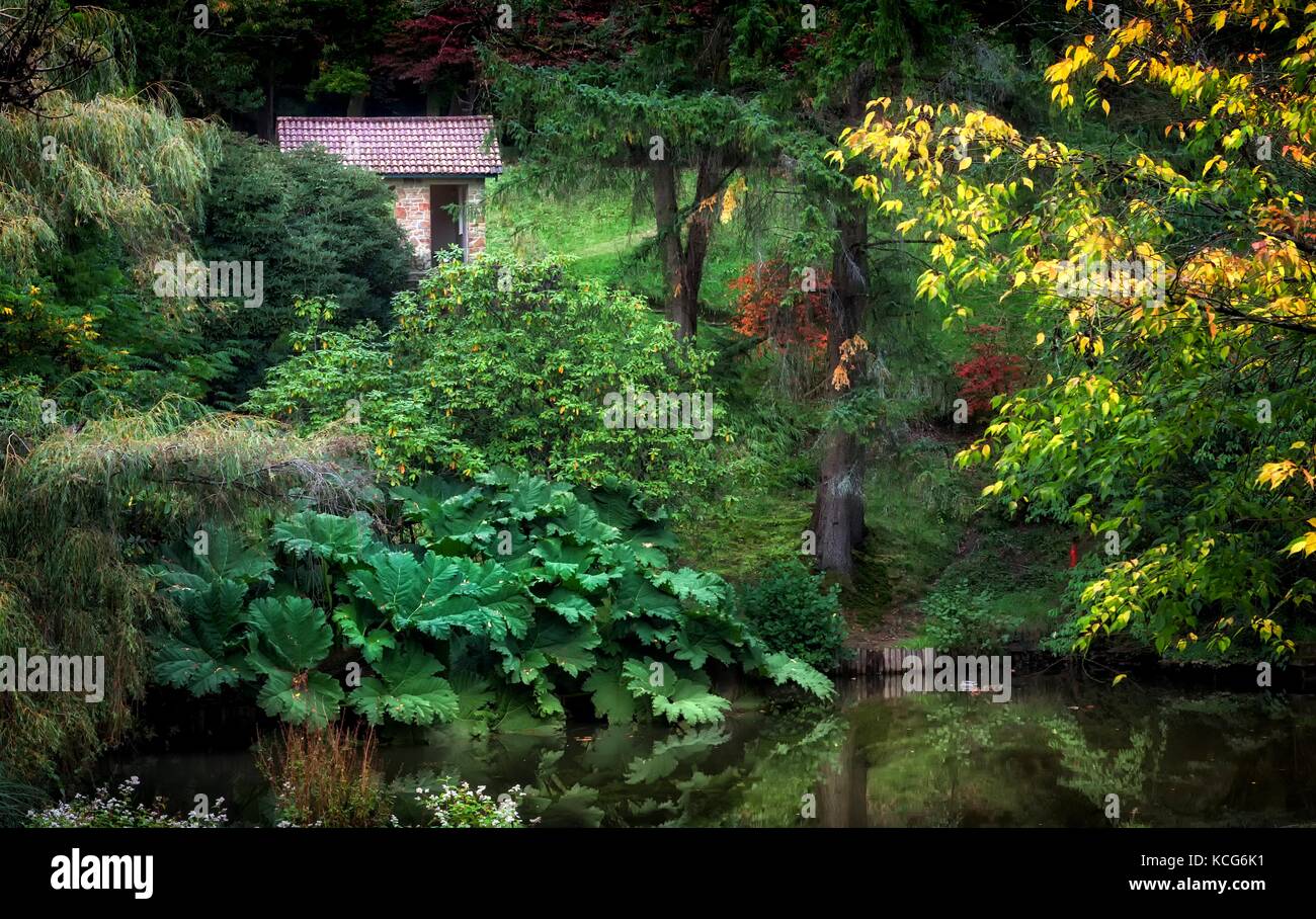 Clyne Park gardens Stock Photo - Alamy