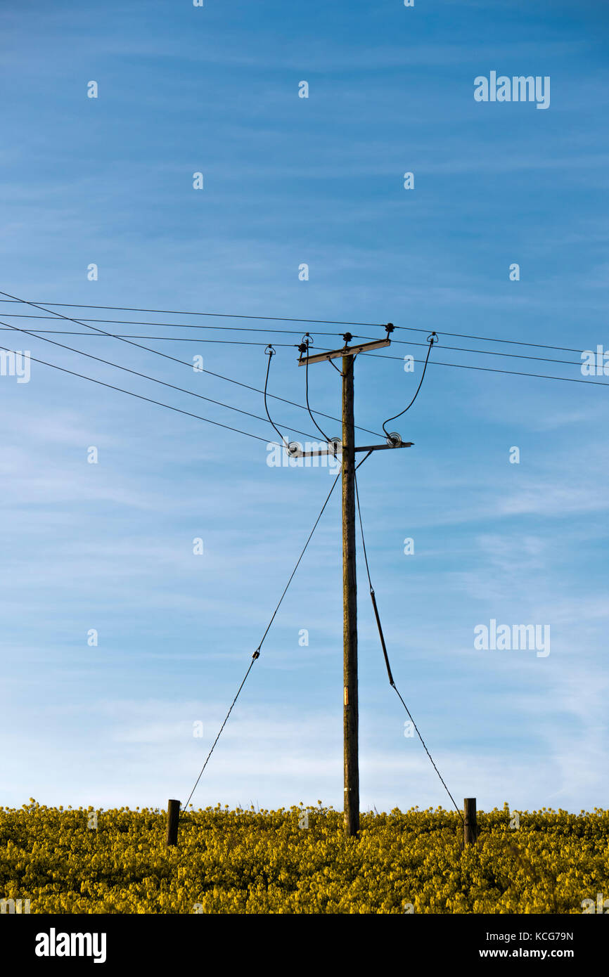 Telegraph Pole in fields Stock Photo - Alamy