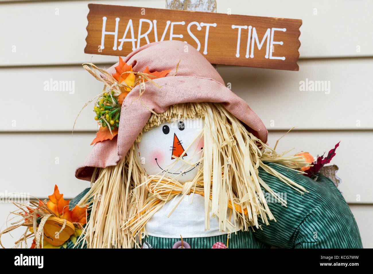Fall Scarecrow Closeup, fall scarecrow decoration Stock Photo - Alamy