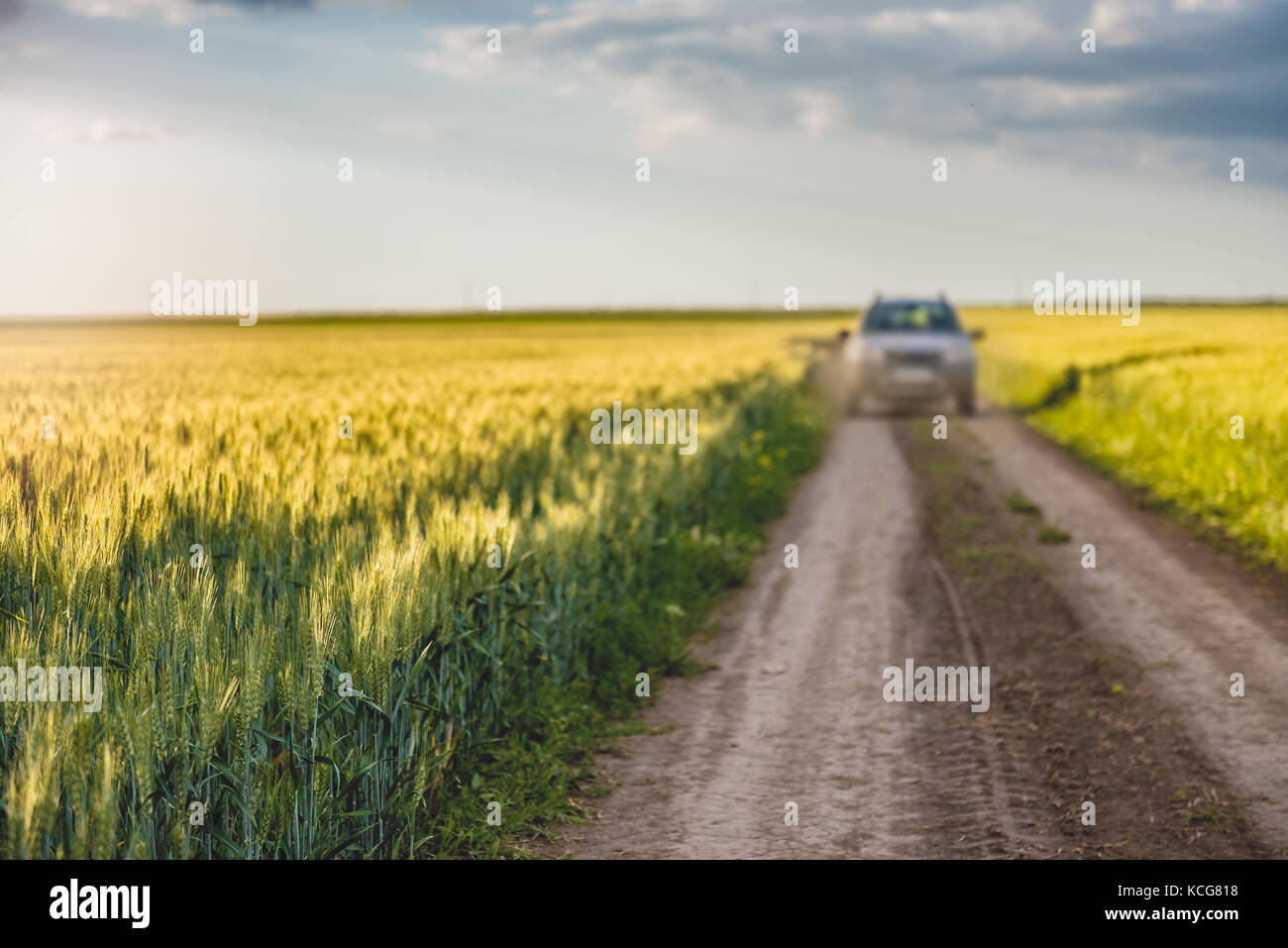 Car driving through green fields hi-res stock photography and images ...