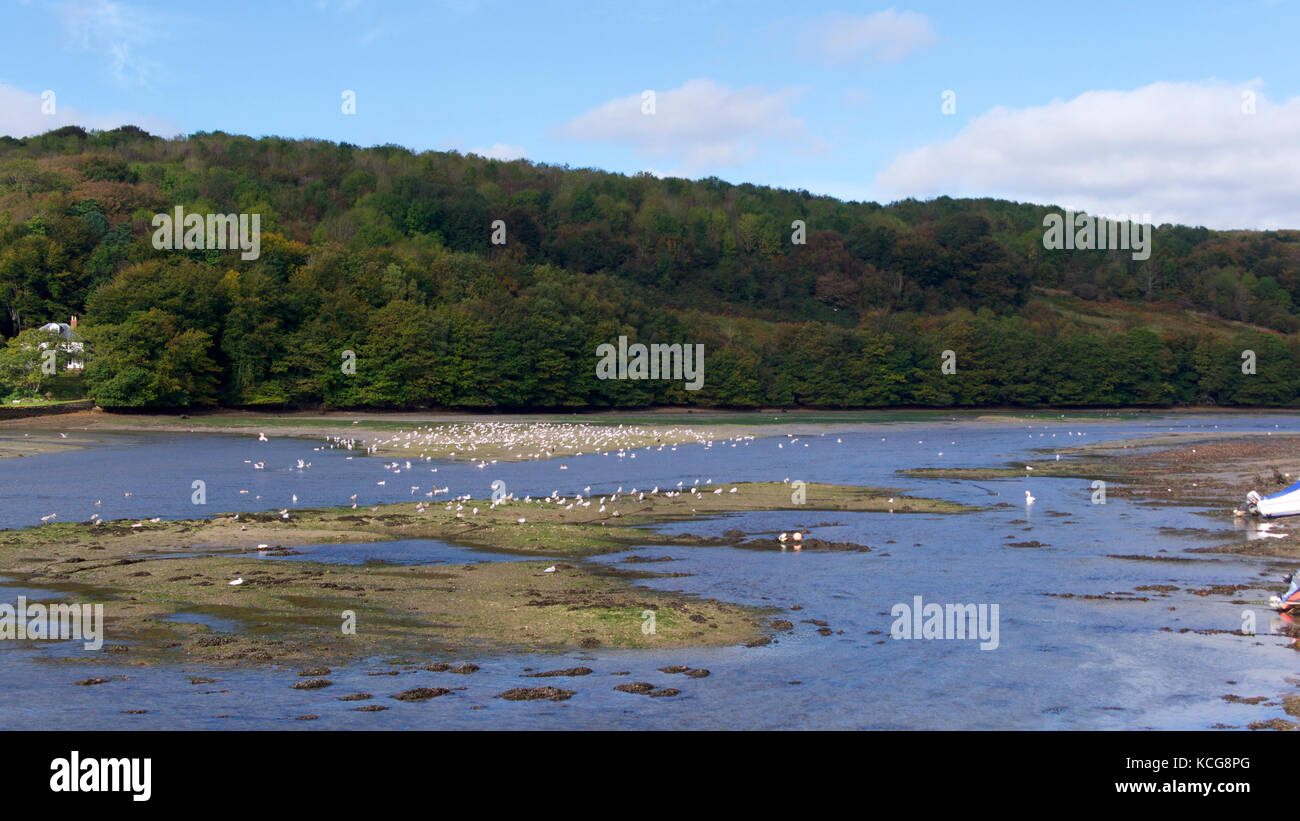 By the beach and the river, Looe Cornwall, UK Stock Photo - Alamy