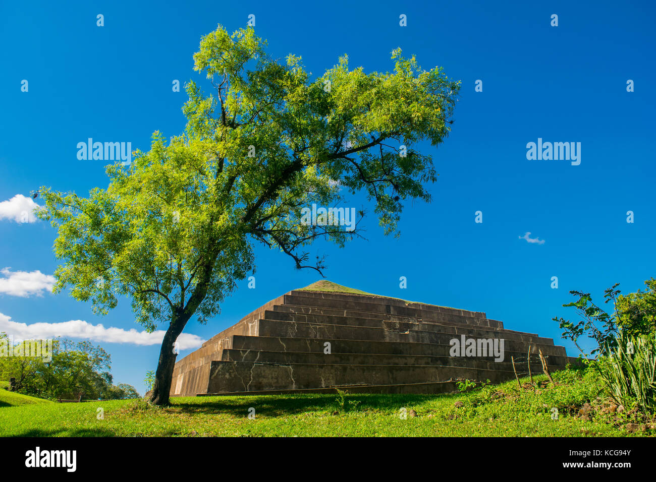 View of Tazumal, the largest Mayan Pyramid in Central America Stock ...