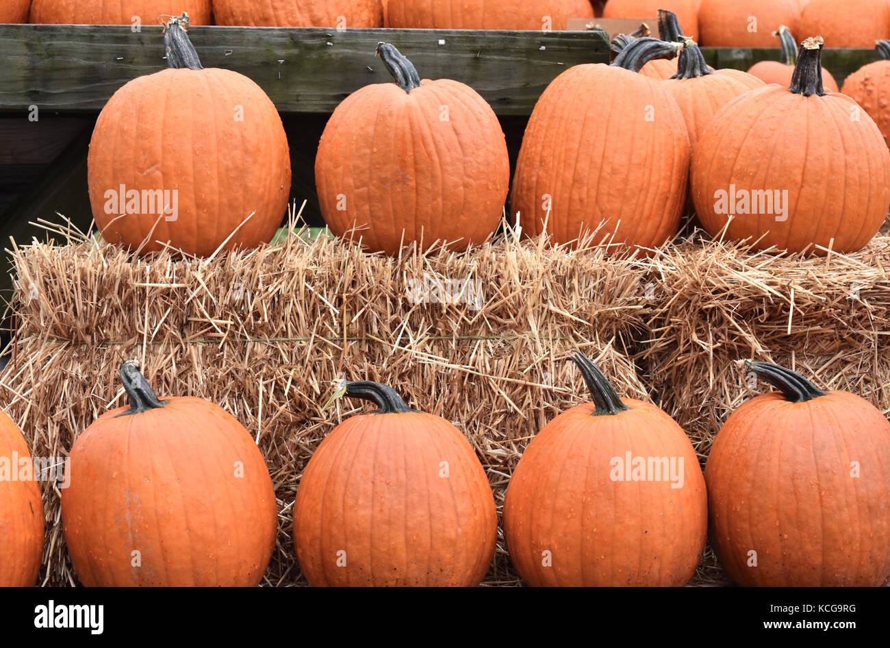 Farmstand hi-res stock photography and images - Alamy