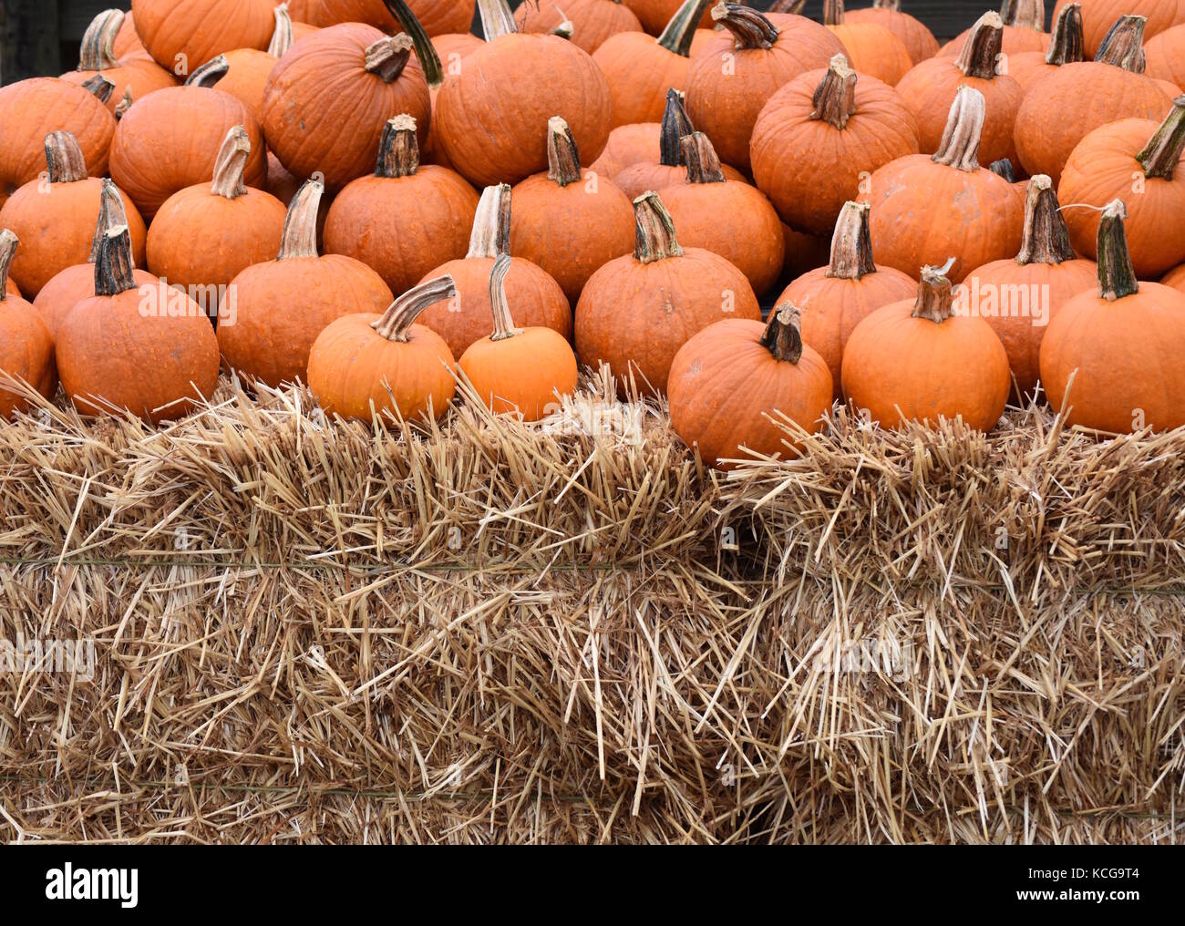 Farmstand hi-res stock photography and images - Alamy