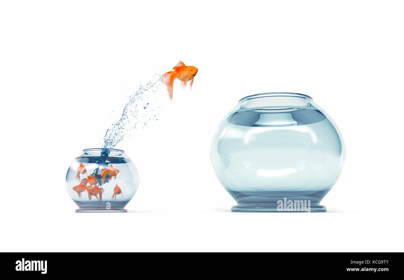 3d aquarium hi-res stock photography and images - Alamy