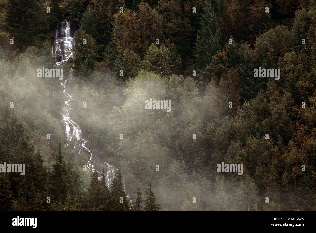 Waterfall in the trees Stock Photo - Alamy