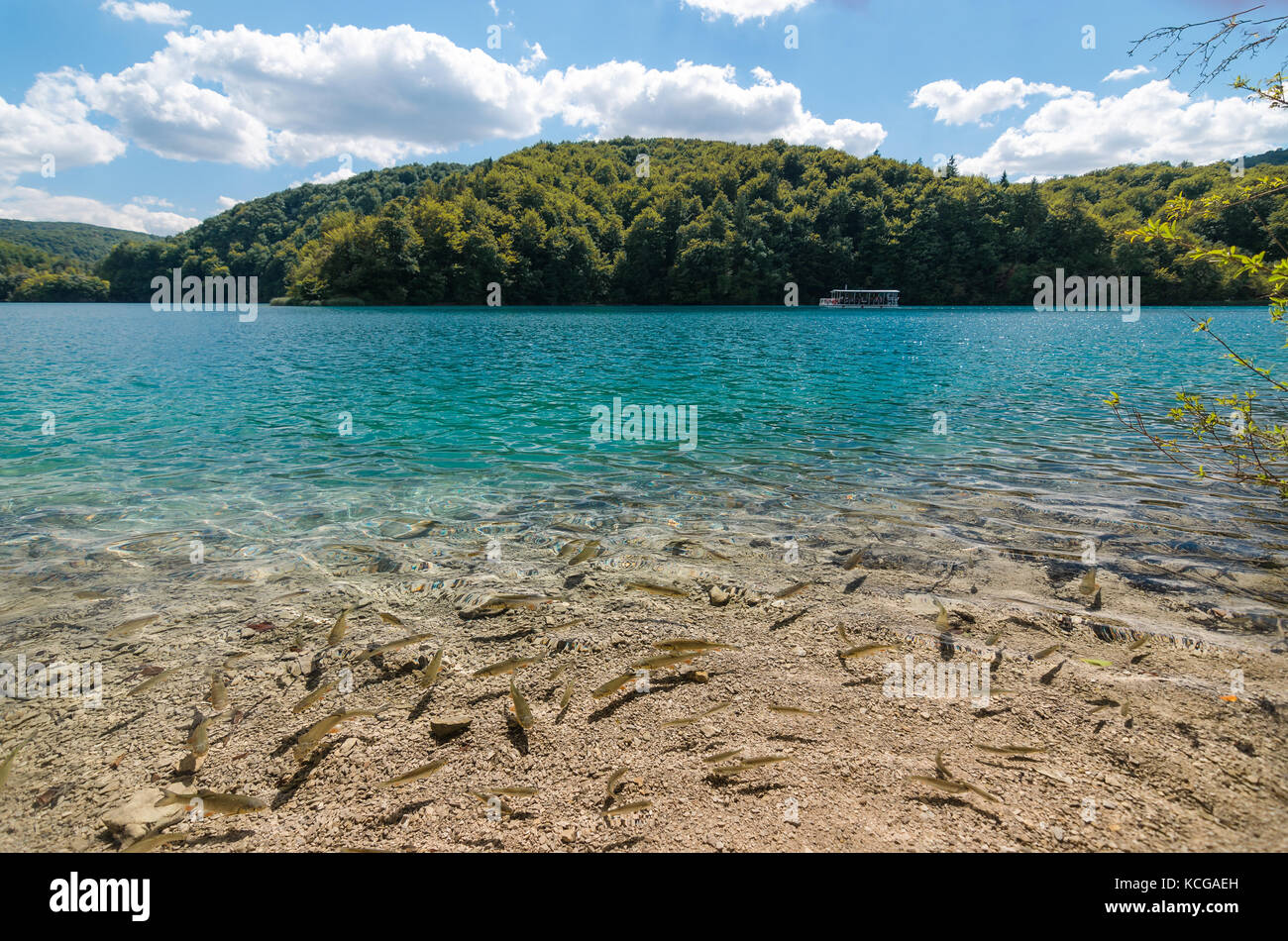 Have a look into the lake Stock Photo - Alamy