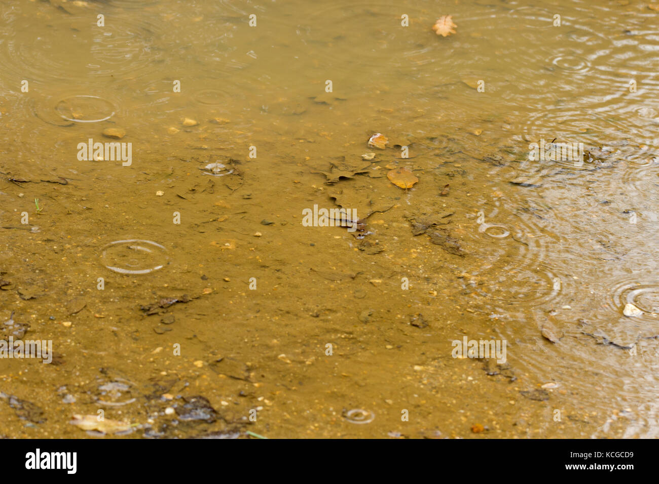 Raindrops Puddle Stock Photos & Raindrops Puddle Stock Images - Alamy