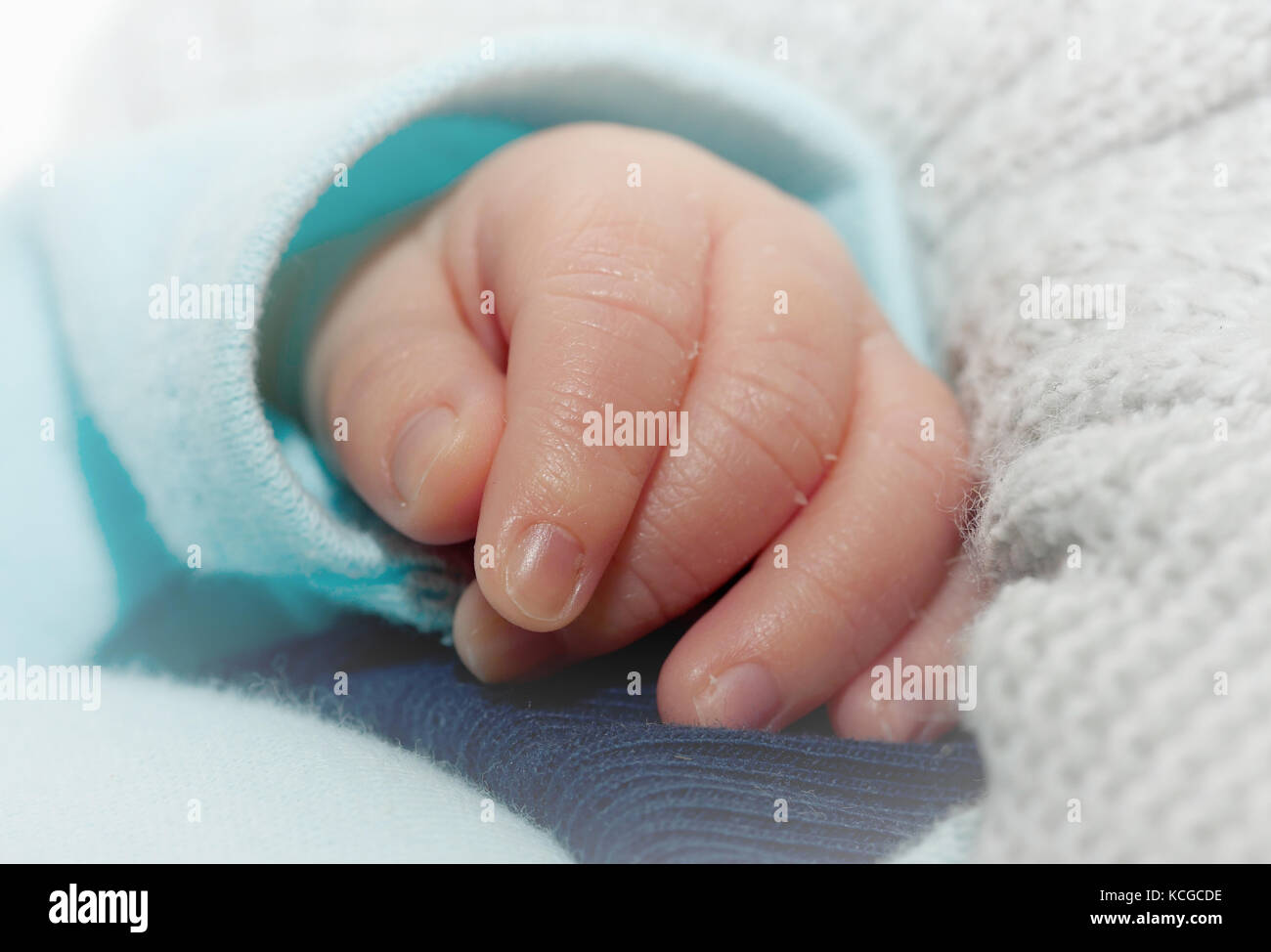 a small hand of baby, close up Stock Photo - Alamy