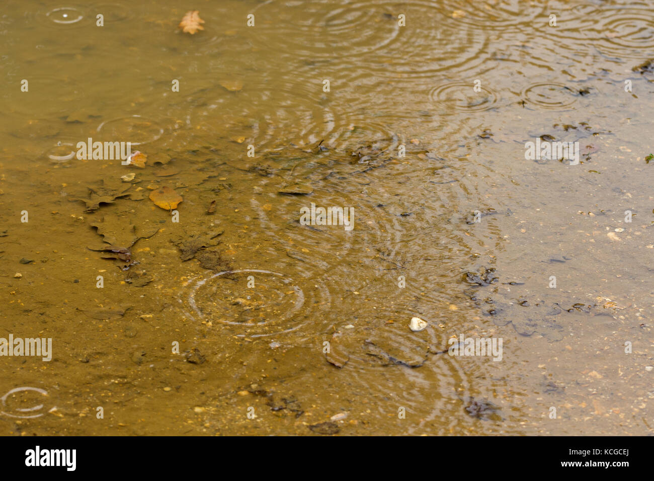 Rain drops in puddles hi-res stock photography and images - Alamy