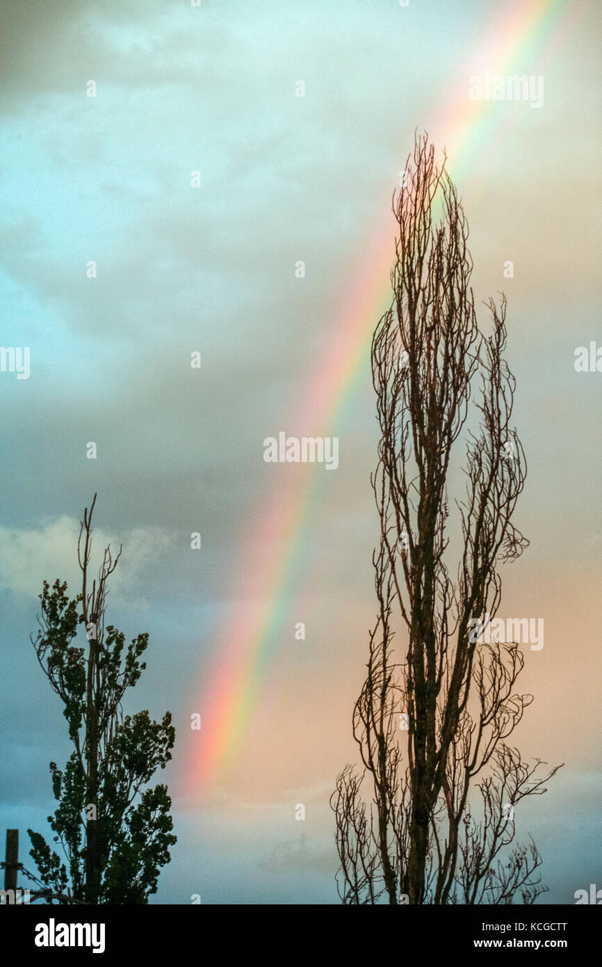 Raimbow hi-res stock photography and images - Alamy