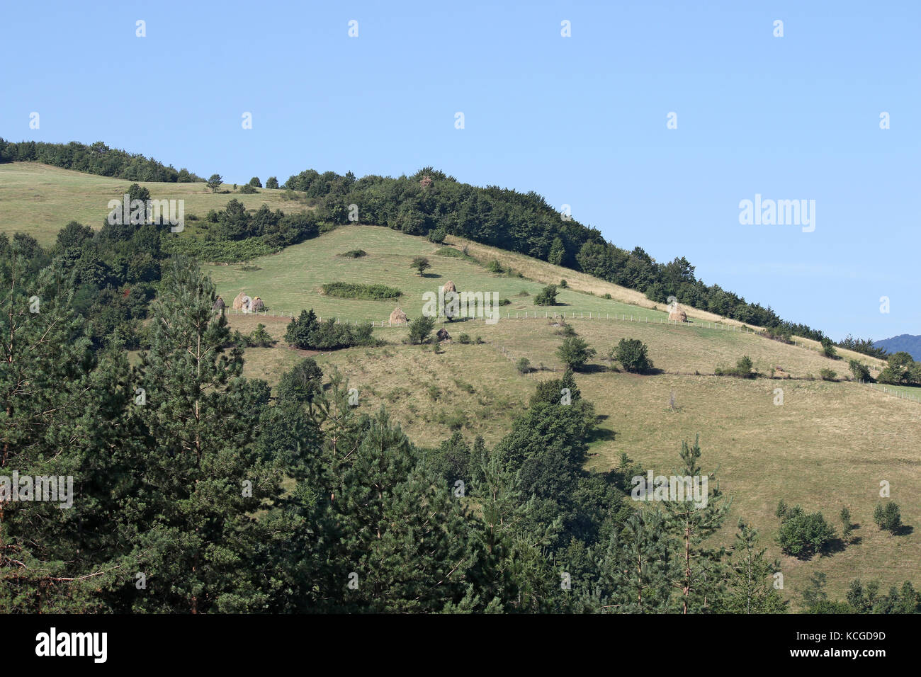 hill with haystack and trees landscape Stock Photo - Alamy