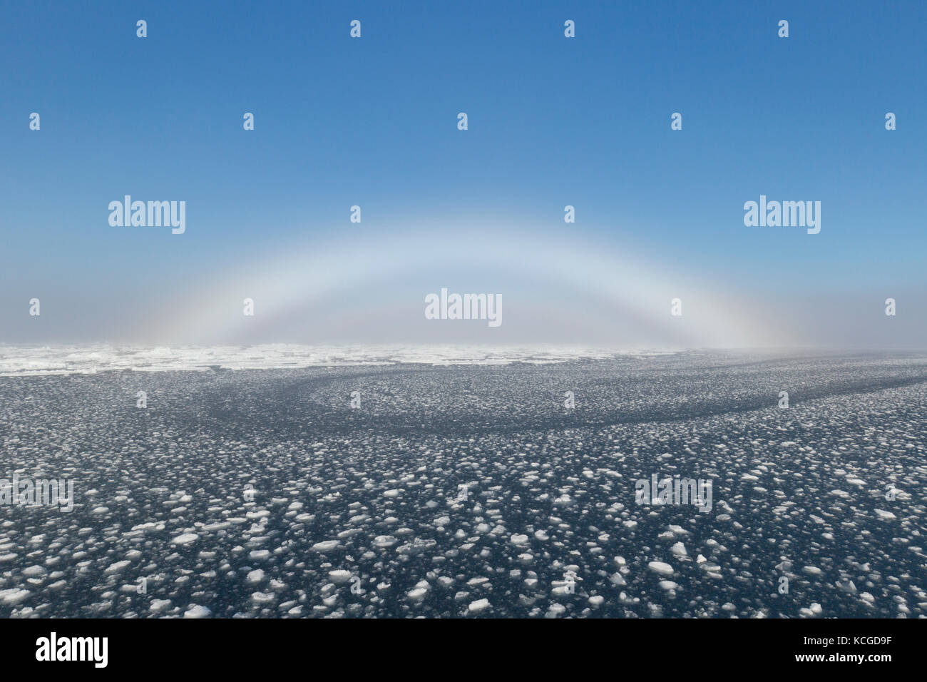 Fogbow / fog bow / white rainbow / sea-dog over the Arctic Sea at ...