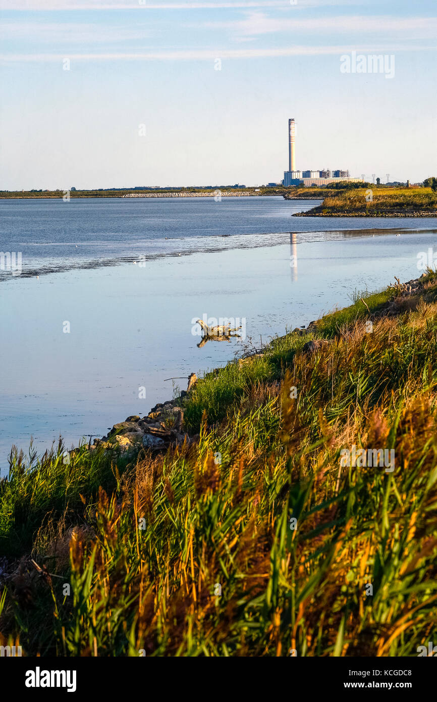 Parco delta po river italy hi-res stock photography and images - Alamy
