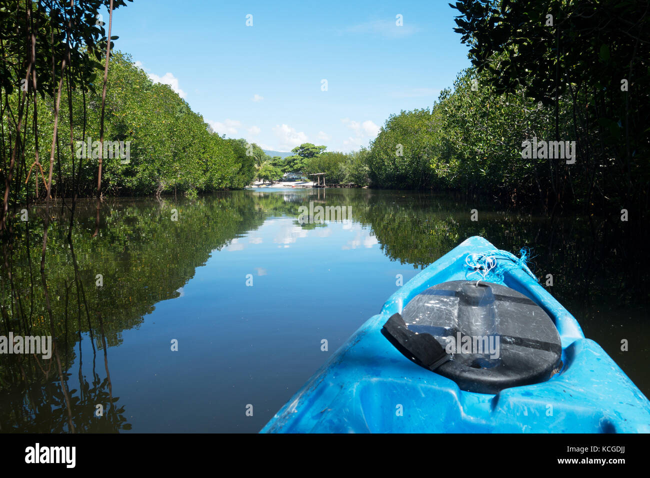Canoeing on the waterways of Cebu, Philippines, Asia Stock Photo - Alamy