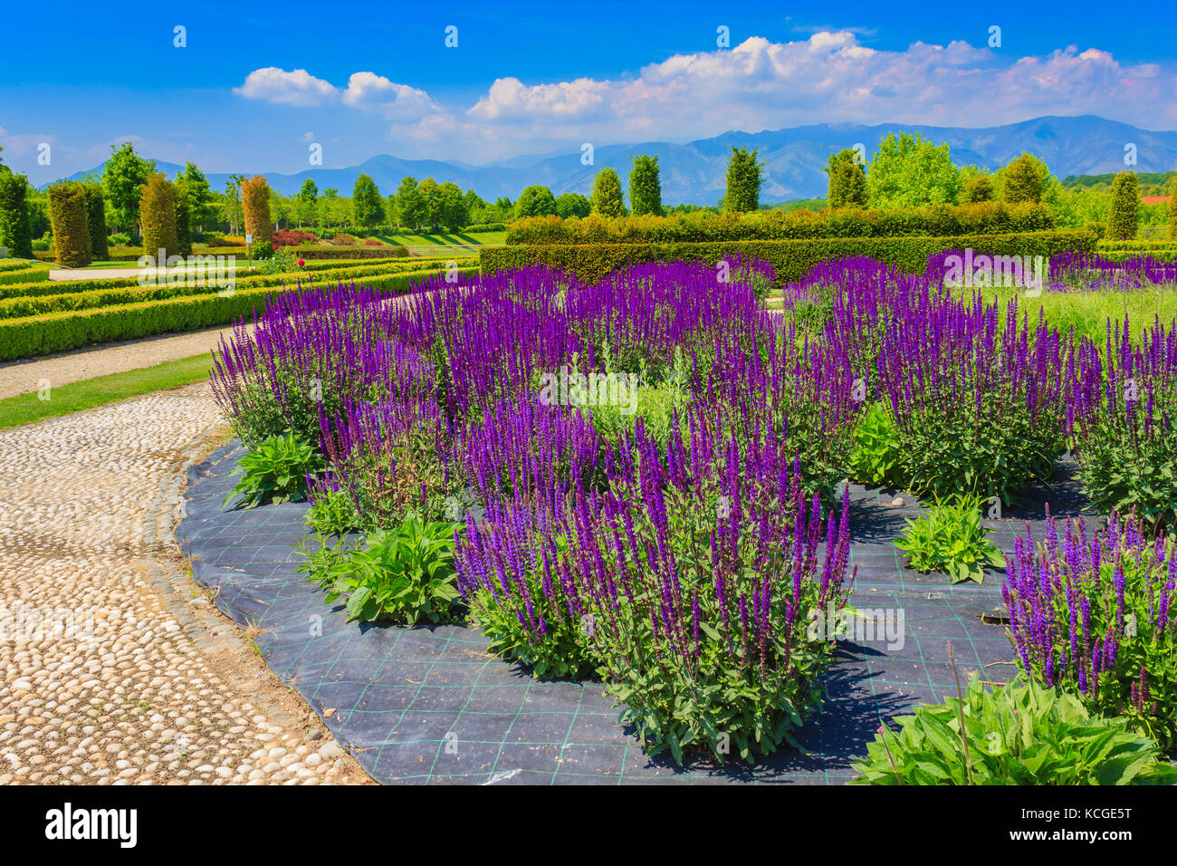 Perennial waterfall hi-res stock photography and images - Alamy