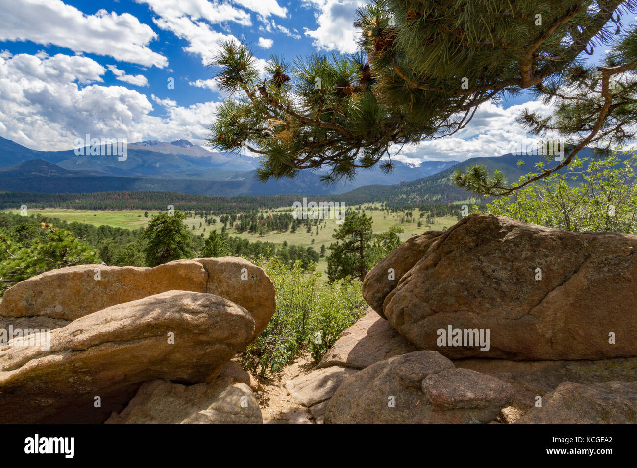 Rock under tree hi-res stock photography and images - Alamy