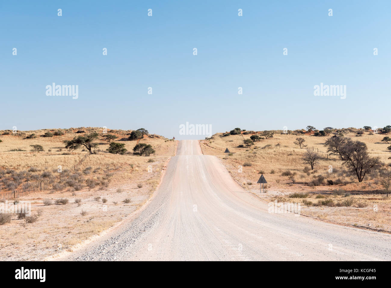 Koes hi-res stock photography and images - Alamy