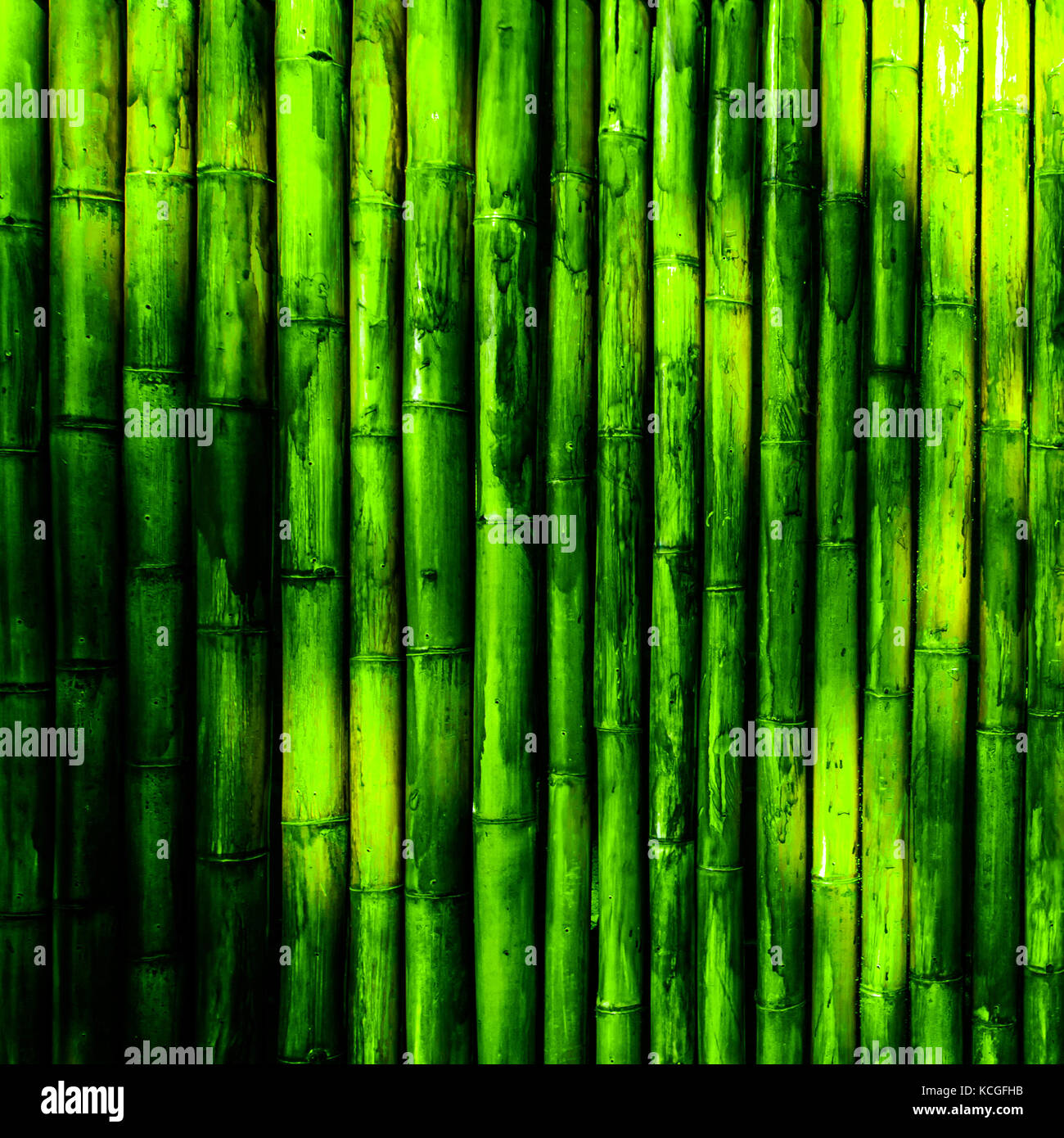 Bamboo bark background Stock Photo - Alamy