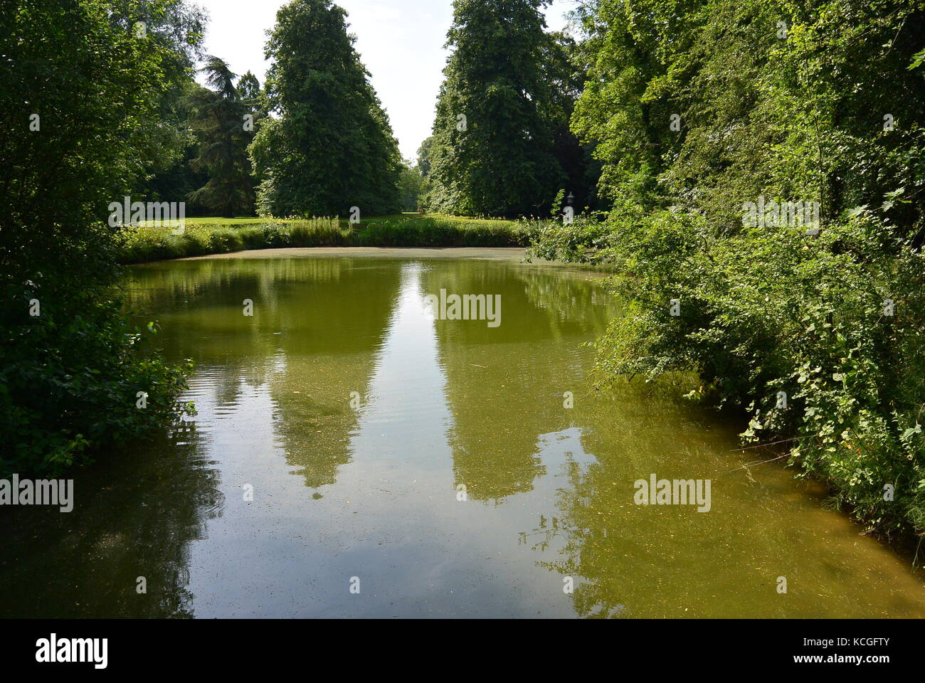 English pond hi-res stock photography and images - Alamy