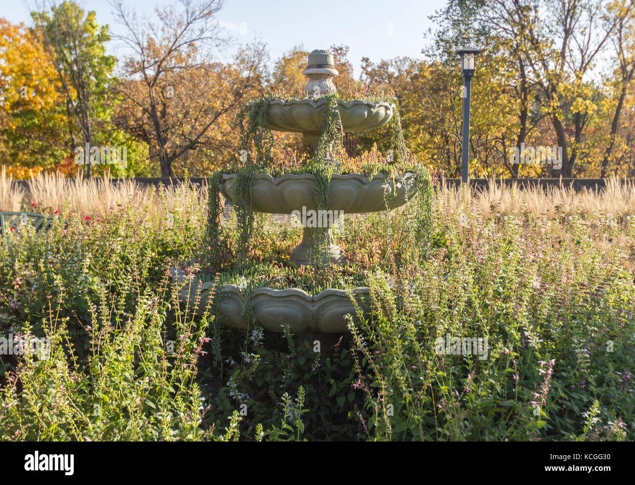 An over grown fountain in Minnehaha Park in Minneapolis, Minnesota ...