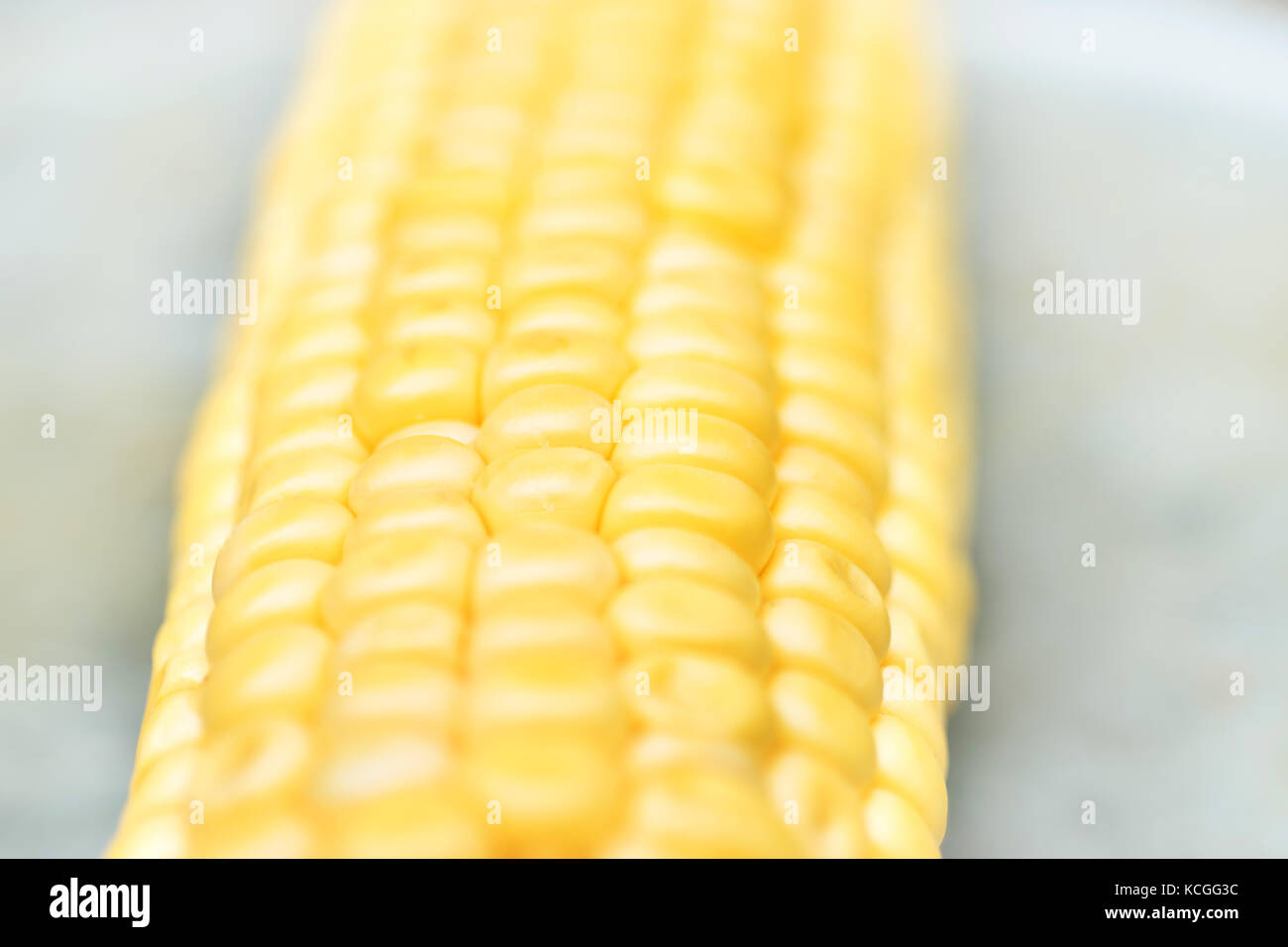 Yellow corn background Stock Photo - Alamy