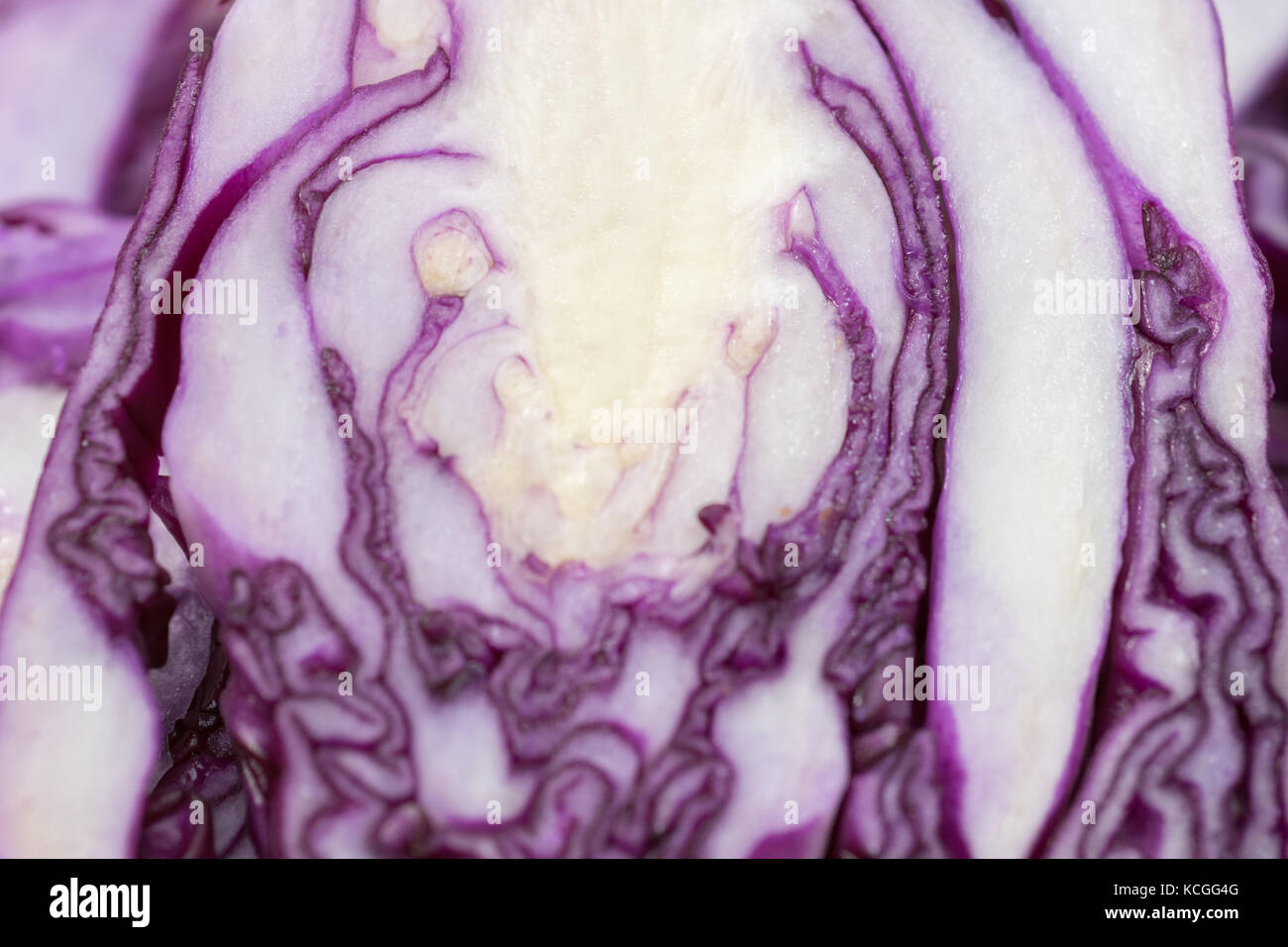 Red cabbage texture detail Stock Photo - Alamy