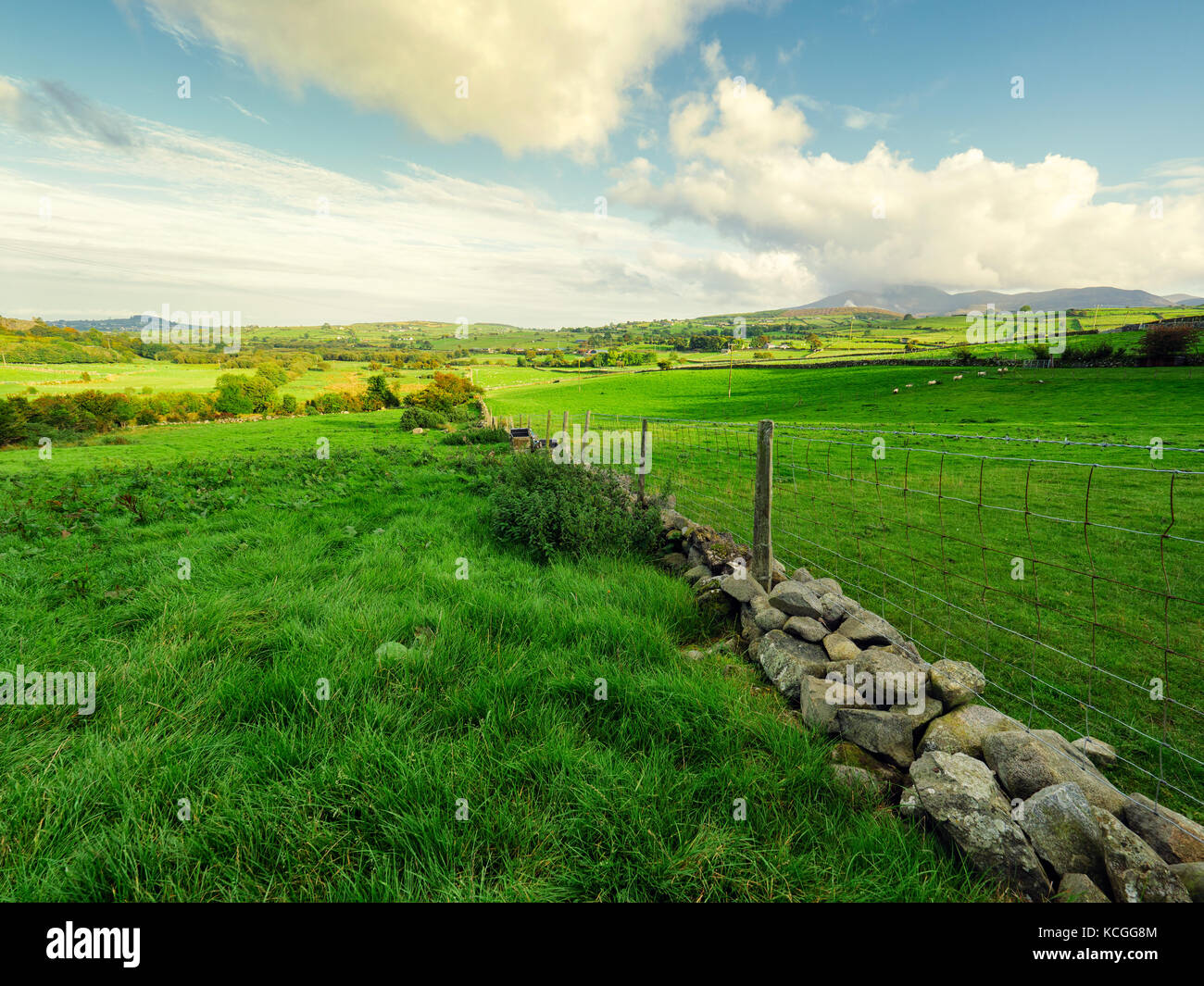 Early Autumn countryside morning,Northern Ireland Stock Photo - Alamy