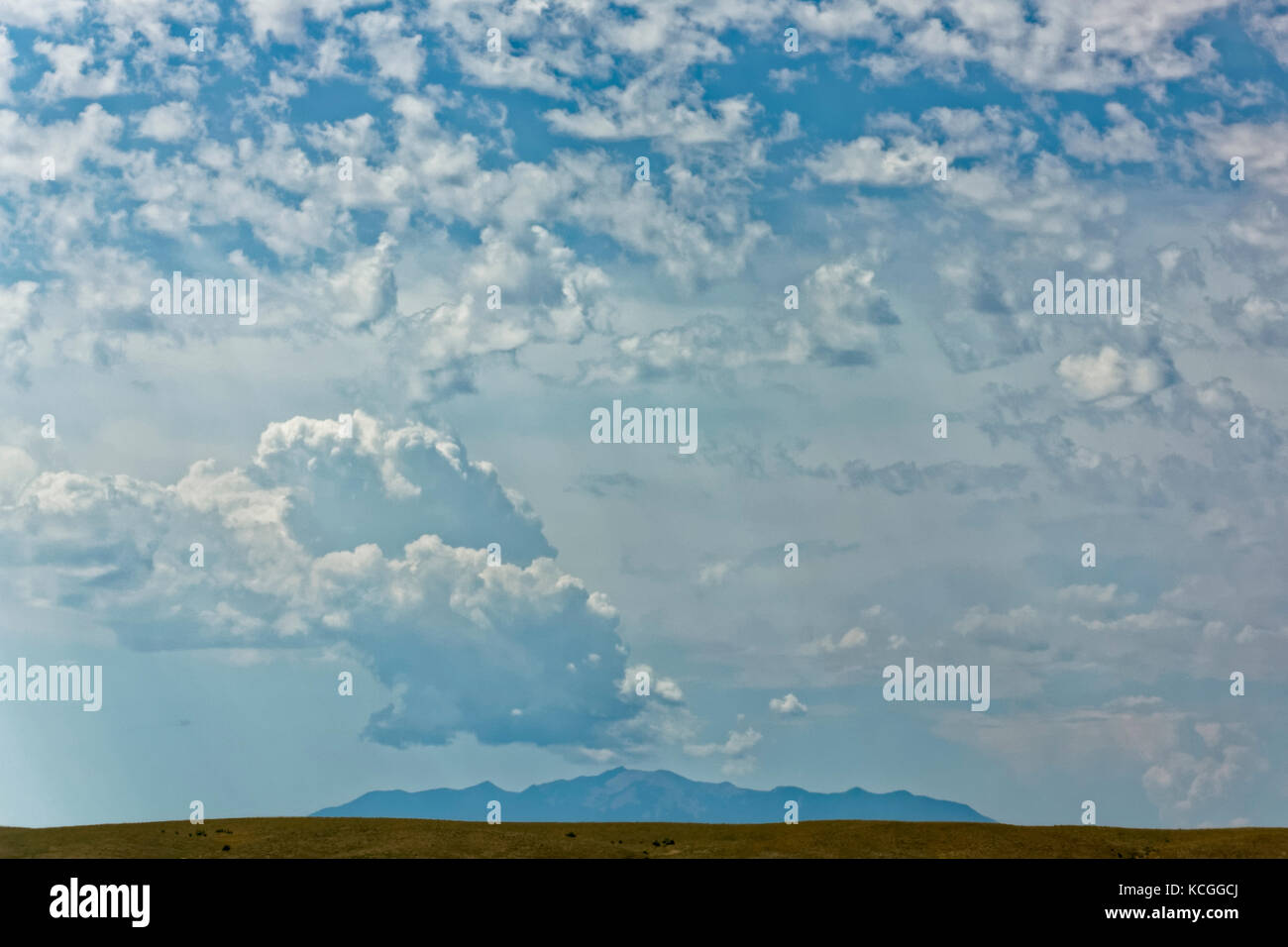 Overhead sunlight hi-res stock photography and images - Alamy