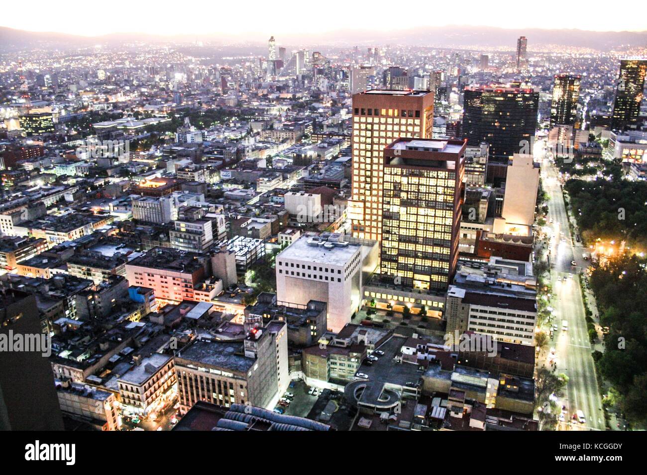 Daily life of the city of Mexico. Tour of the Alameda, Fine arts and ...