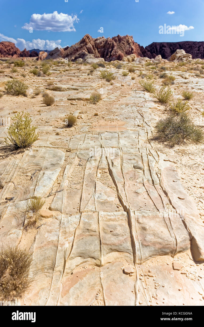 Grooves in the desert floor in Nevada Stock Photo - Alamy