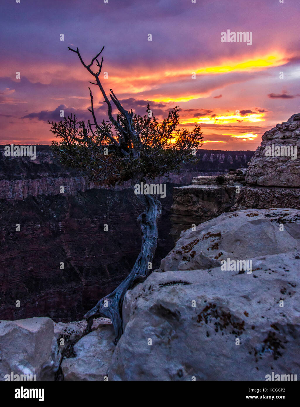 A sunset visible from the North Rim of the Grand Canyon Stock Photo - Alamy