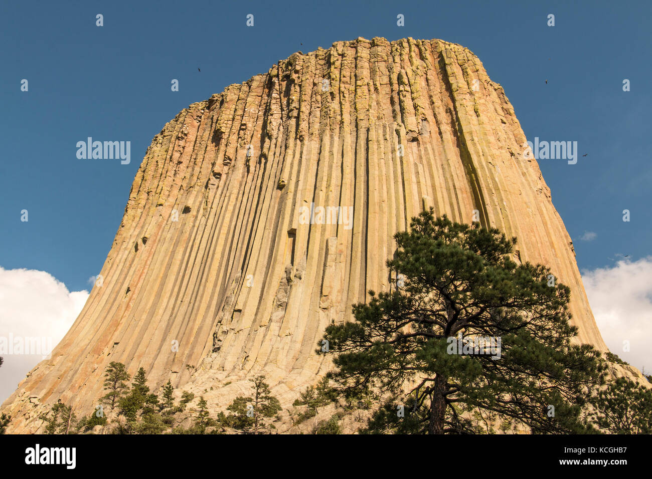 Devils tower close up hi-res stock photography and images - Alamy
