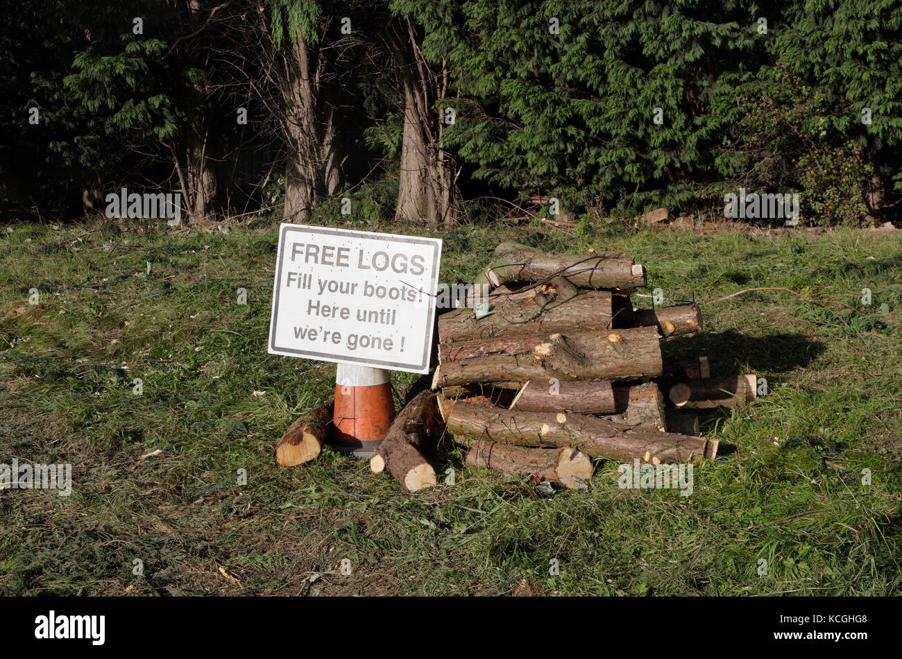 Free Logs, Tree felling Free timber wood logs Stock Photo - Alamy