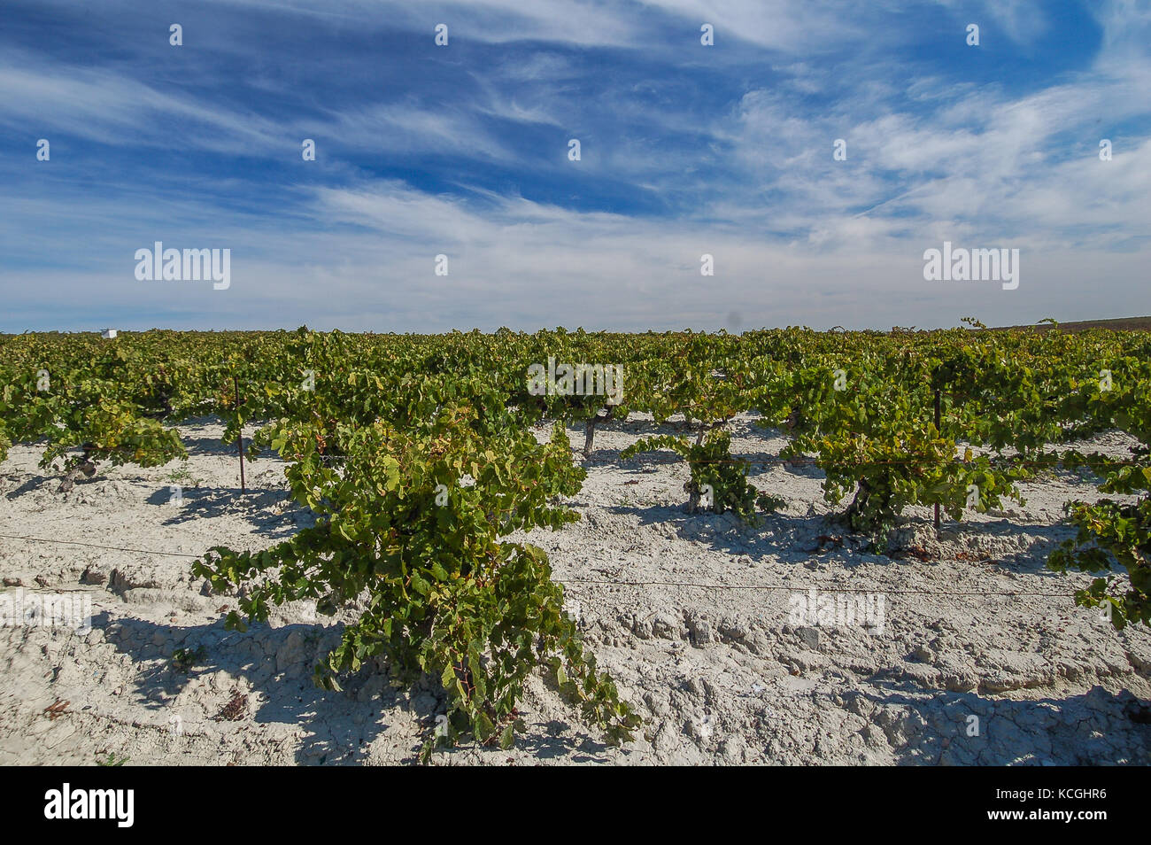 Bodegas Osborne, Jerez de la Frontera, Spain Stock Photo - Alamy