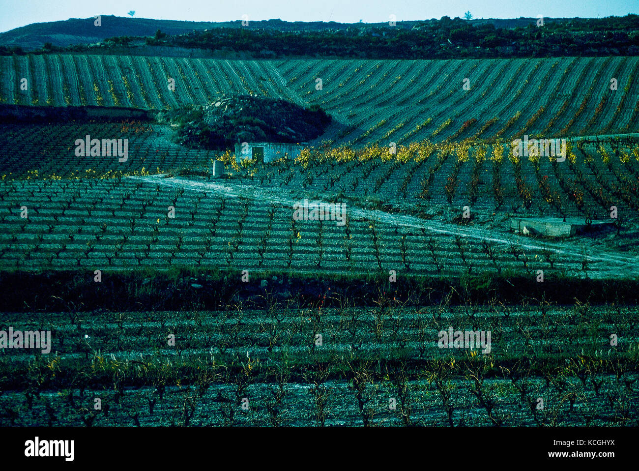 vineyards of La Rioja, Spain Stock Photo - Alamy