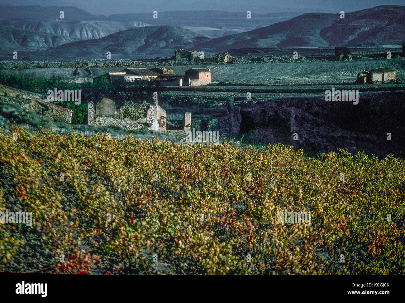 vineyards of La Rioja, Spain Stock Photo - Alamy