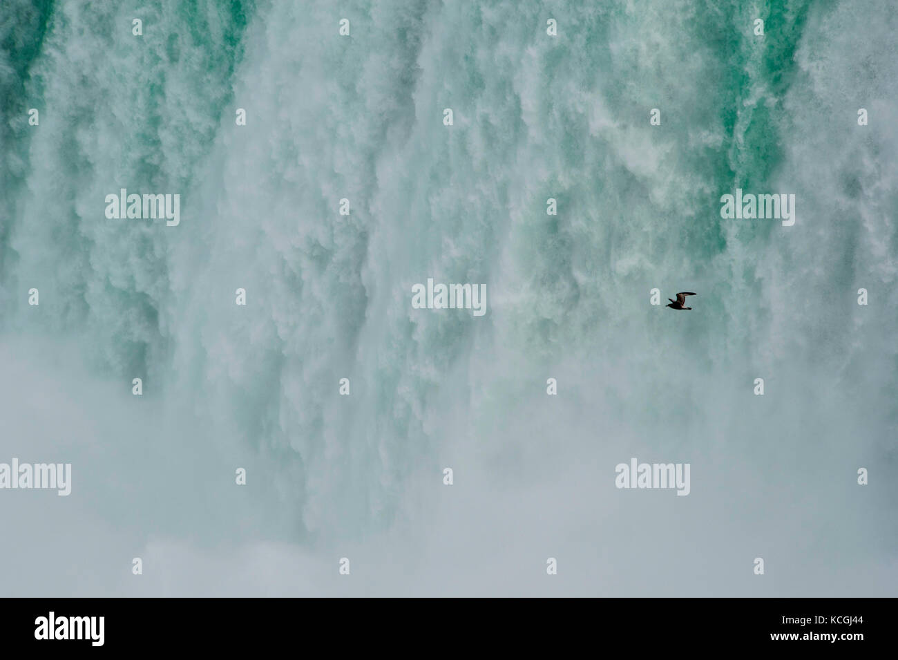 Flying into the mist hi-res stock photography and images - Alamy