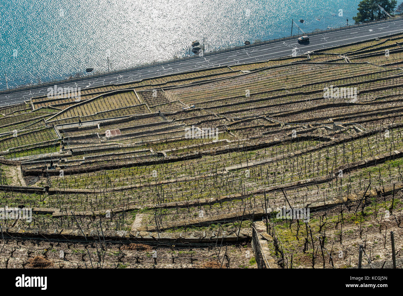 Rivaz suisse hi-res stock photography and images - Alamy